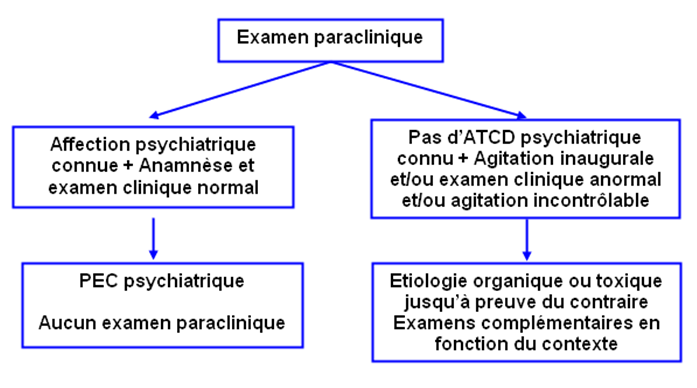 Agitation aigue et contentions physique et chimique au (...) - Médecine ...